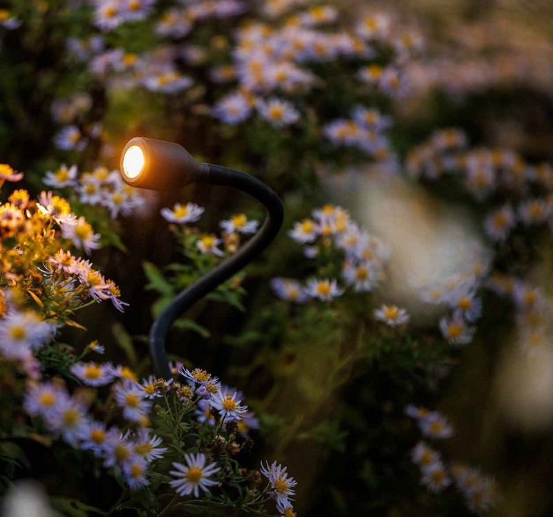 LightPro - Xible - LED 2W - 12V ~ | L’Ortye Tuin-Deco-Bouw